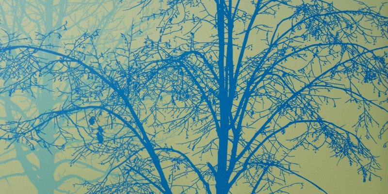 Calverton Library | Inspire - Culture, Learning, Libraries