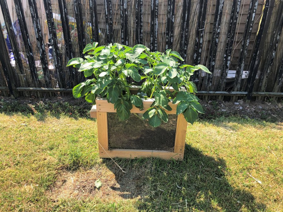 Green Libraries | Inspire - Culture, Learning, Libraries