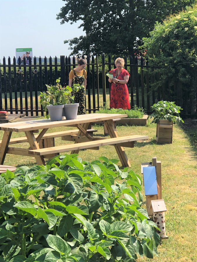 Green Libraries | Inspire - Culture, Learning, Libraries