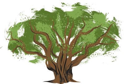 Sherwood Forest Up Close | Inspire - Culture, Learning, Libraries