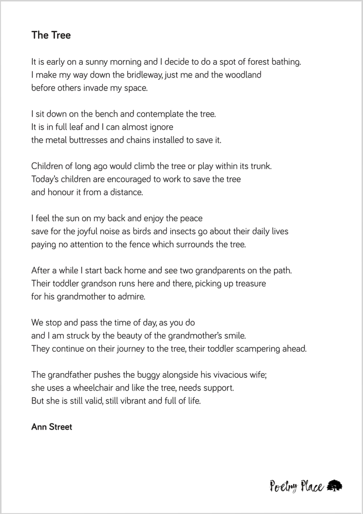 Poetry Place Virtual Exhibition: Participant gallery | Inspire ...