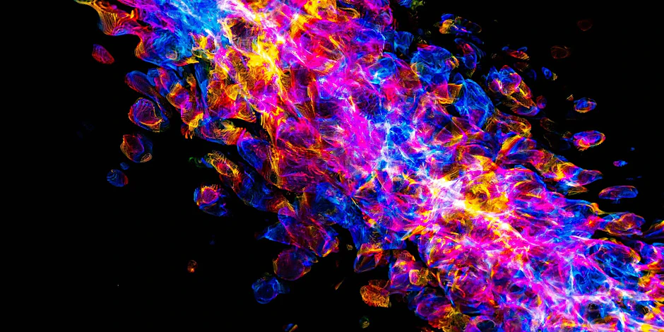 Festival of Science and Curiosity: Sensation Station - Kirkby-in ...