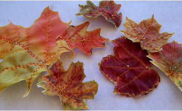Printmaking - Images From Nature-Rainworth-Community Learning | Inspire ...