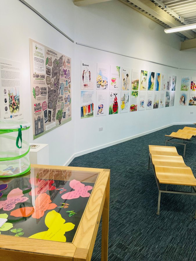 Lost Words Virtual Exhibition: Library Gallery Tour | Inspire - Culture ...